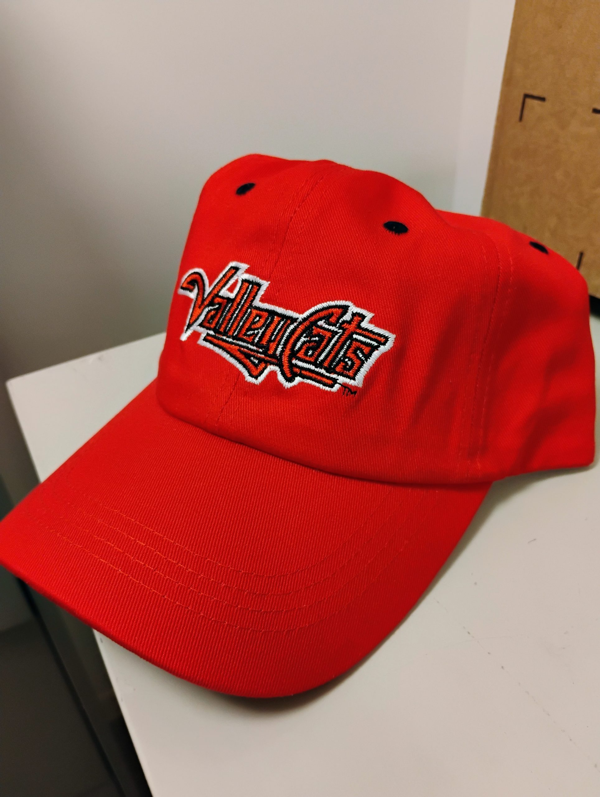 Valley Cats Sports Bundle (Week 1) - Mental Health Association in NYS, Inc.